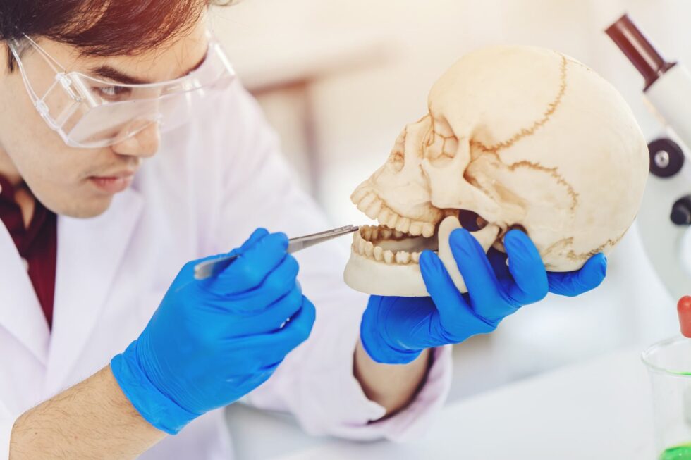 Accelerating Human Bone Growth: Can It Limit Jaw Resorption?